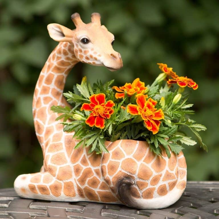 32 Giraffe Gifts That Will Delight Every Wildlife Enthusiast in 2025 ...