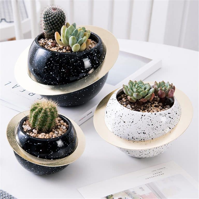 39 Stellar Astronomy Gifts for Every Enthusiast