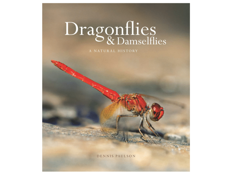 31 Dragonfly Gifts That'll Have Them Fluttering With Joy in 2023 - giftlab