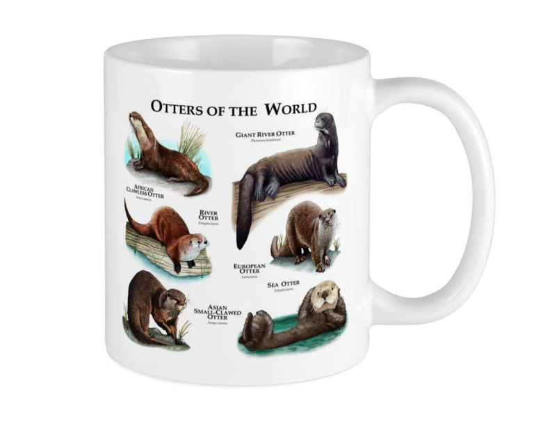 31 Otter Gifts That Will Make a Splash in 2026 - giftlab