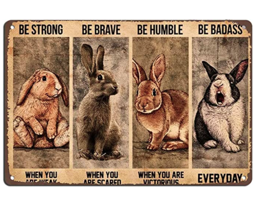 30 Bunny Gifts That'll Make Rabbit Lovers Very Hoppy in 2025 - giftlab