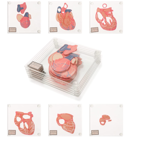 26 Gifts For The Cardiologist That'll Touch Their Heart in 2024 - giftlab